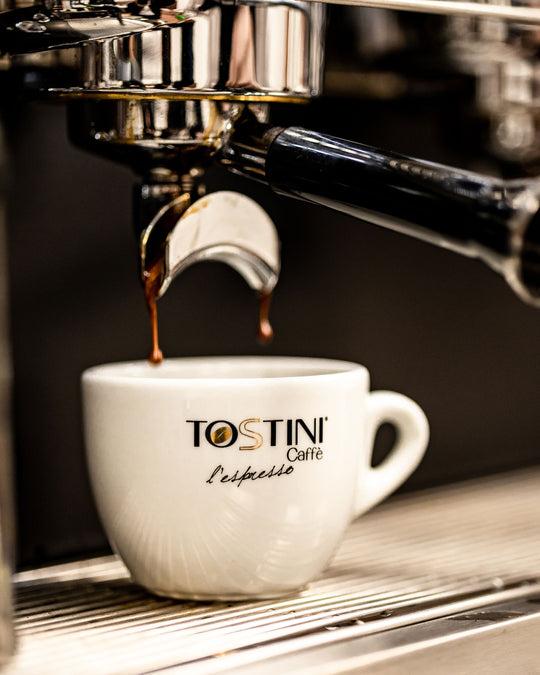 Wholesale – Tostini USA